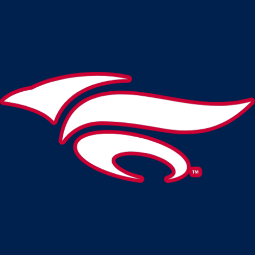 2023 Returning Player Bundle – Runbirds Baseball Store